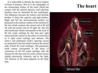 Heart and pericardium. Vascularization and innervation of heart ...