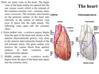 Heart and pericardium. Vascularization and innervation of heart ...