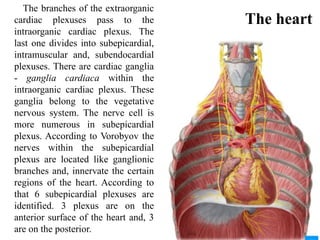 Heart and pericardium. Vascularization and innervation of heart ...