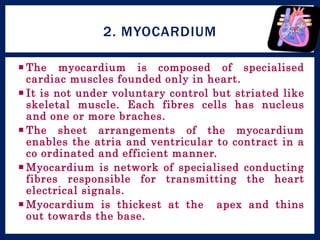 Heart anatomy & physiology slide share, circulatory system pdf | PDF