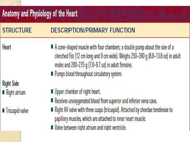 Heart assessment | PPT