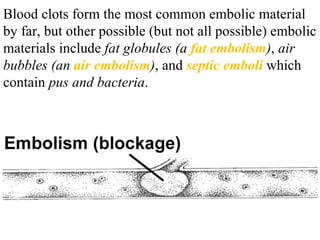 Heart attack plaque blood pressure | PPT