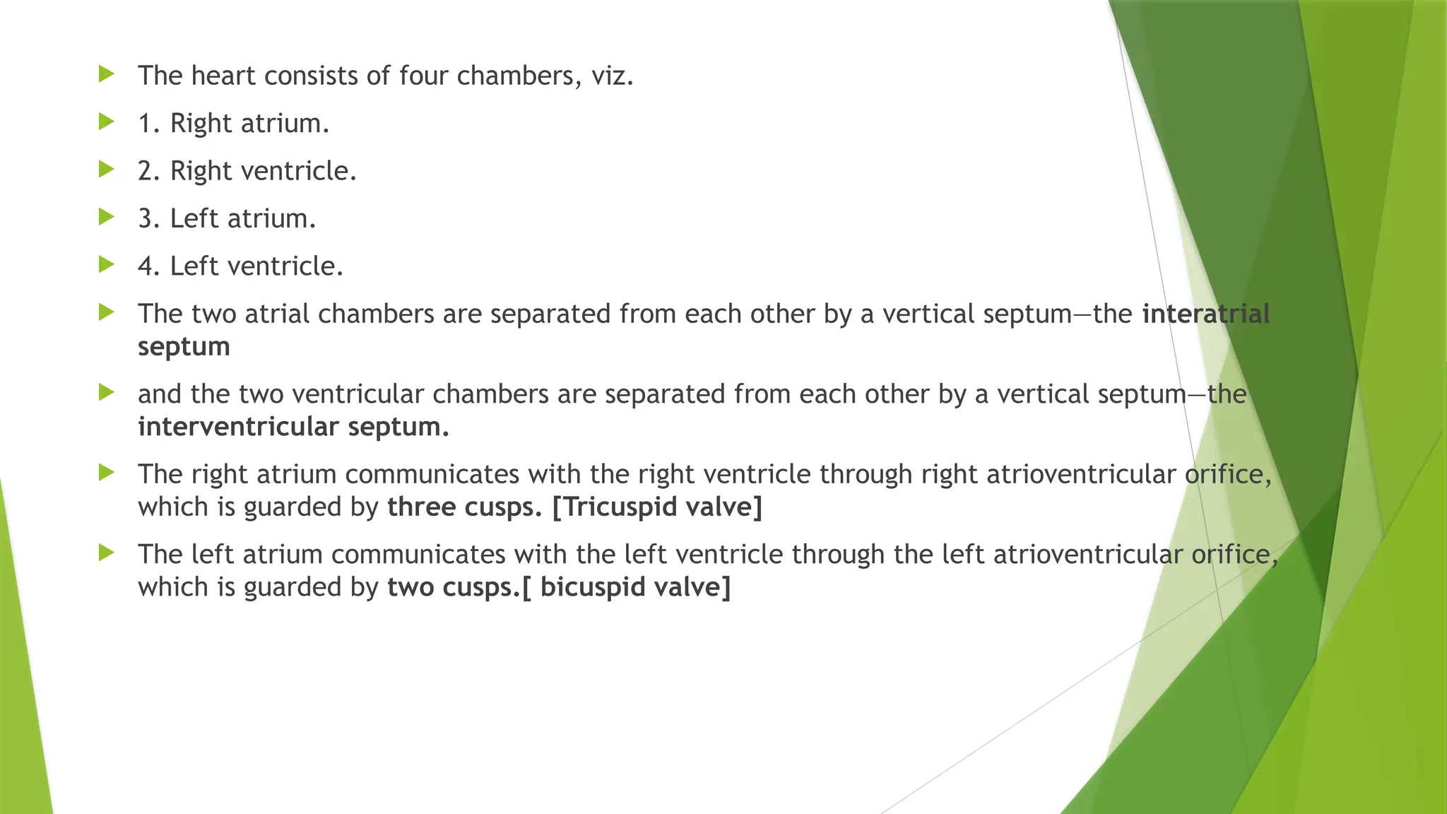 HEART cardiac output /input +cardiac cycle.pptx