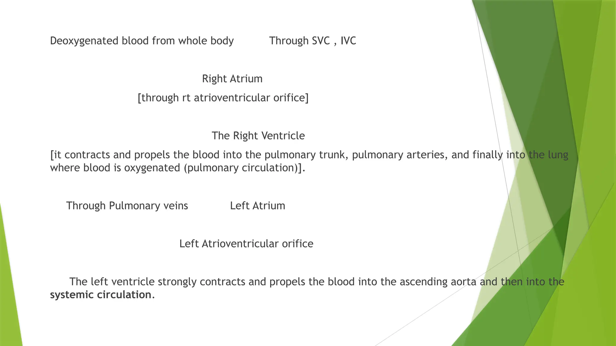 HEART cardiac output /input +cardiac cycle.pptx