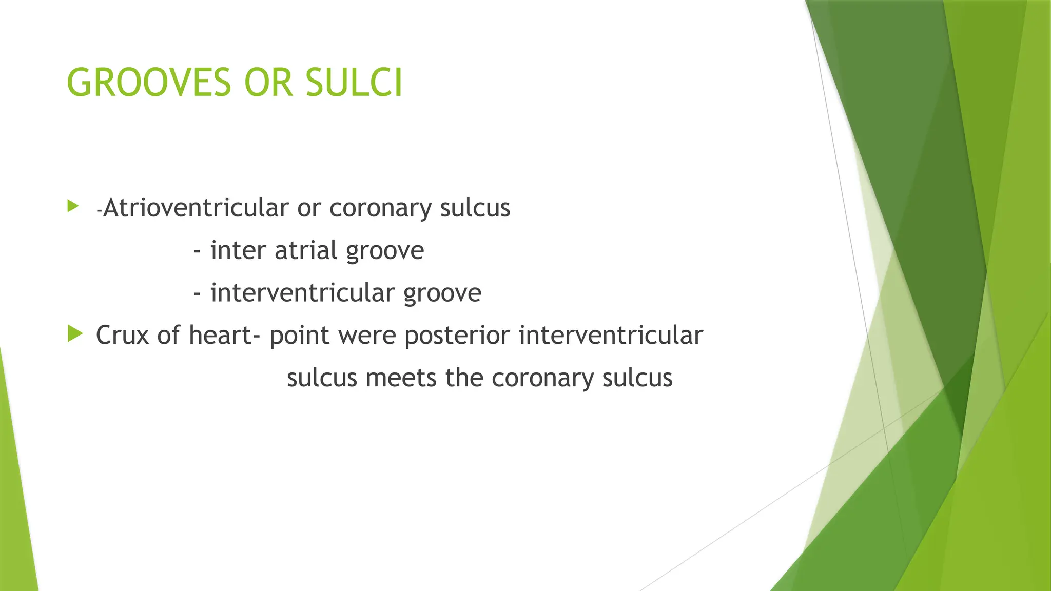 HEART cardiac output /input +cardiac cycle.pptx