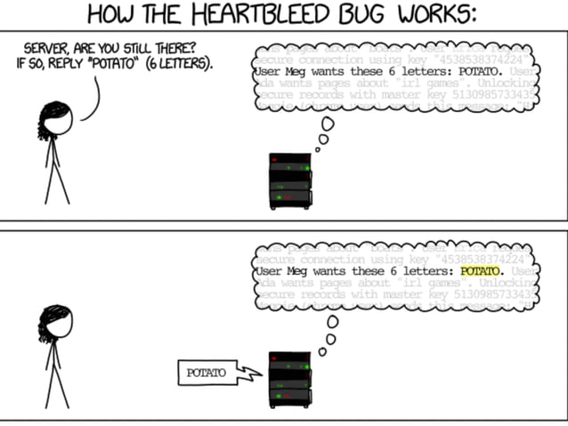 HeartBleed | PDF