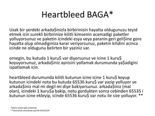 Heartbleed Nedir? | PPTX