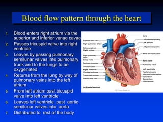 Heart by dr. armaan singh | PDF