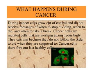 Heart cancer | PPT | Heart and Cardiovascular Diseases | Diseases and ...