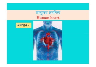 Heart & cardiac cycle--class ix Biology | PDF