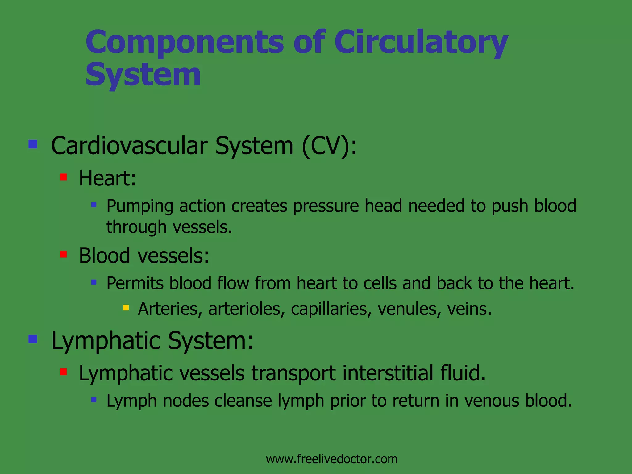 Heart & Circulation | PPT