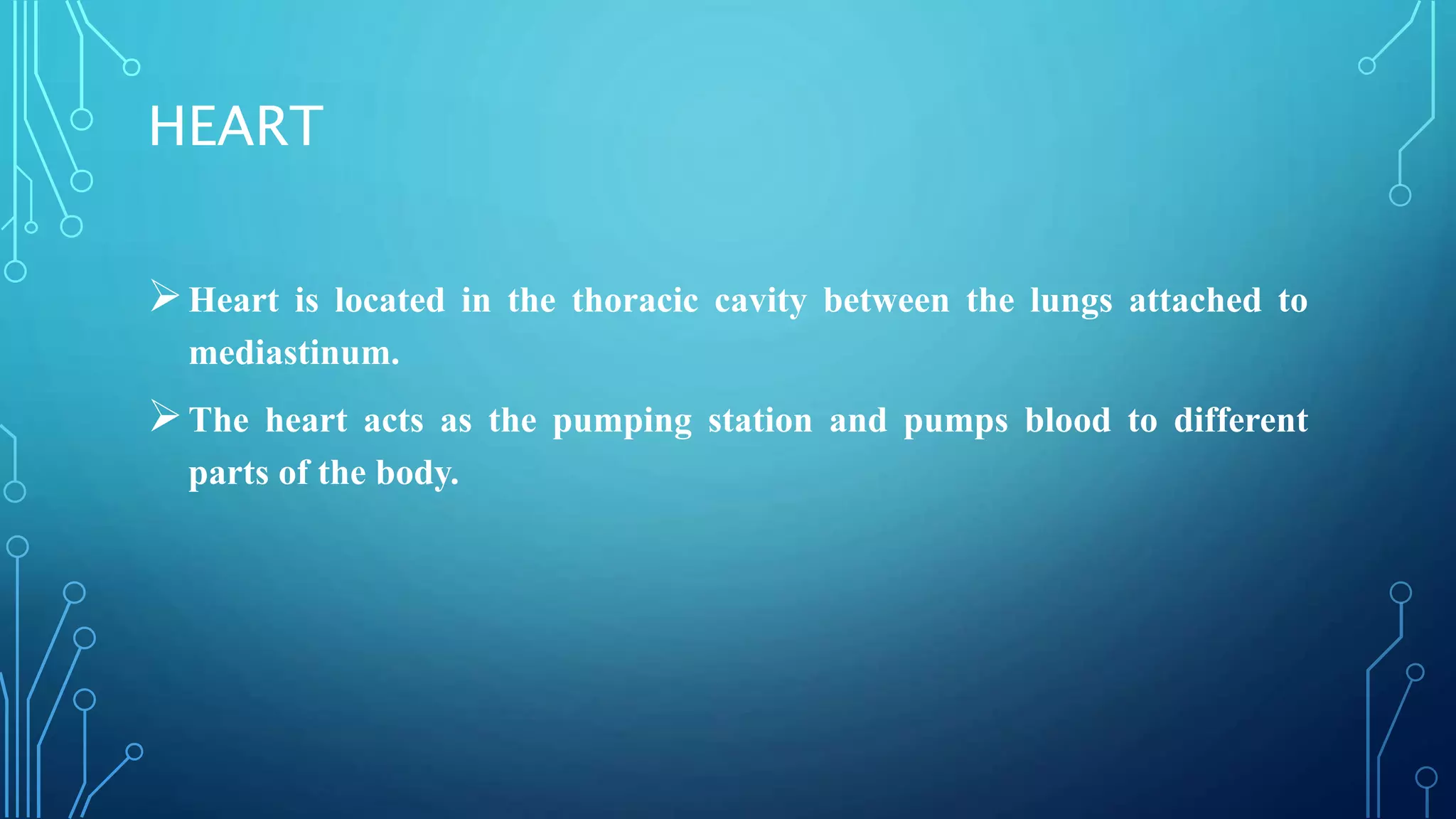 Heart circulation .ppt