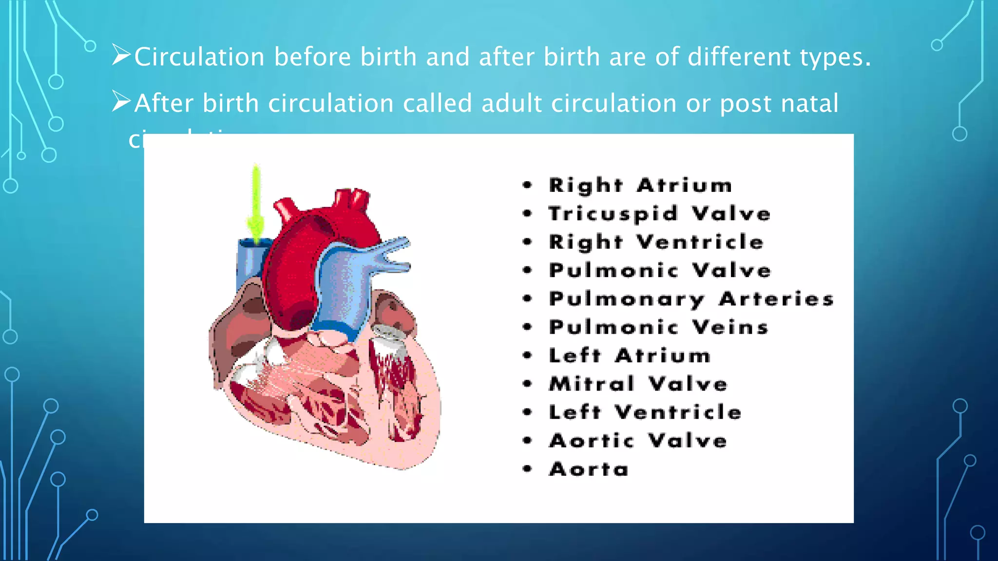 Heart circulation .ppt
