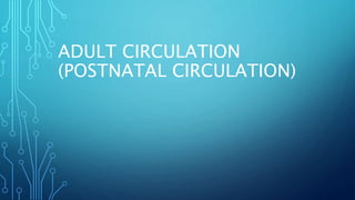 Heart circulation .ppt