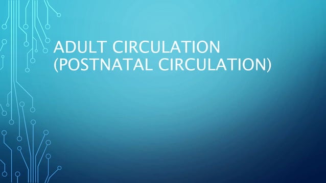 Heart circulation .ppt