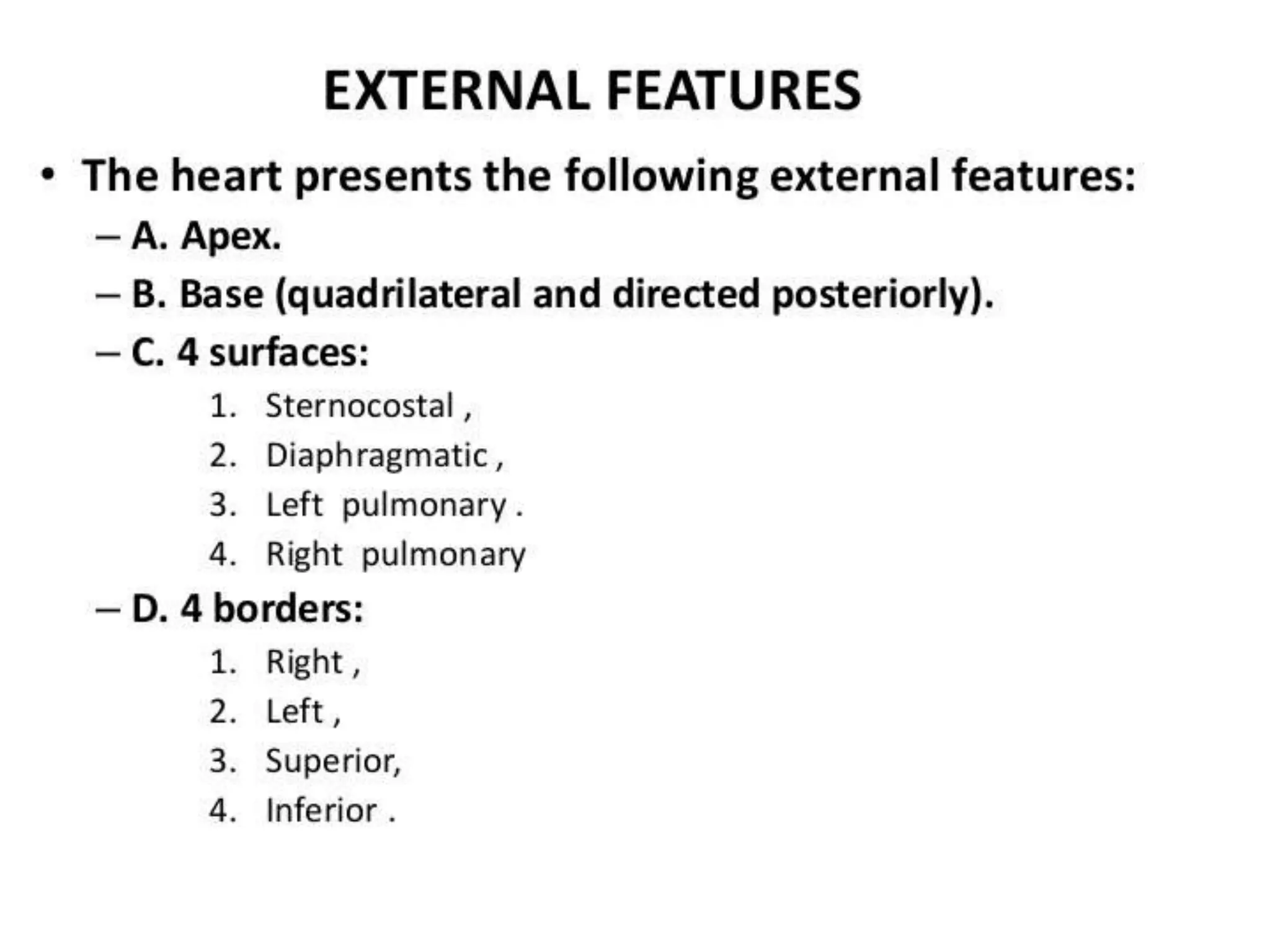 heart anatomy | PPT