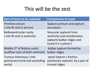 Heart development 2 | PPT