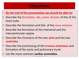 Heart Development.pptx