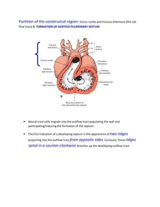 Heart development i | PDF
