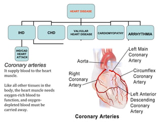 BASIC OF HEART DISEASE | PPT