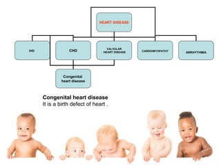 BASIC OF HEART DISEASE | PPT