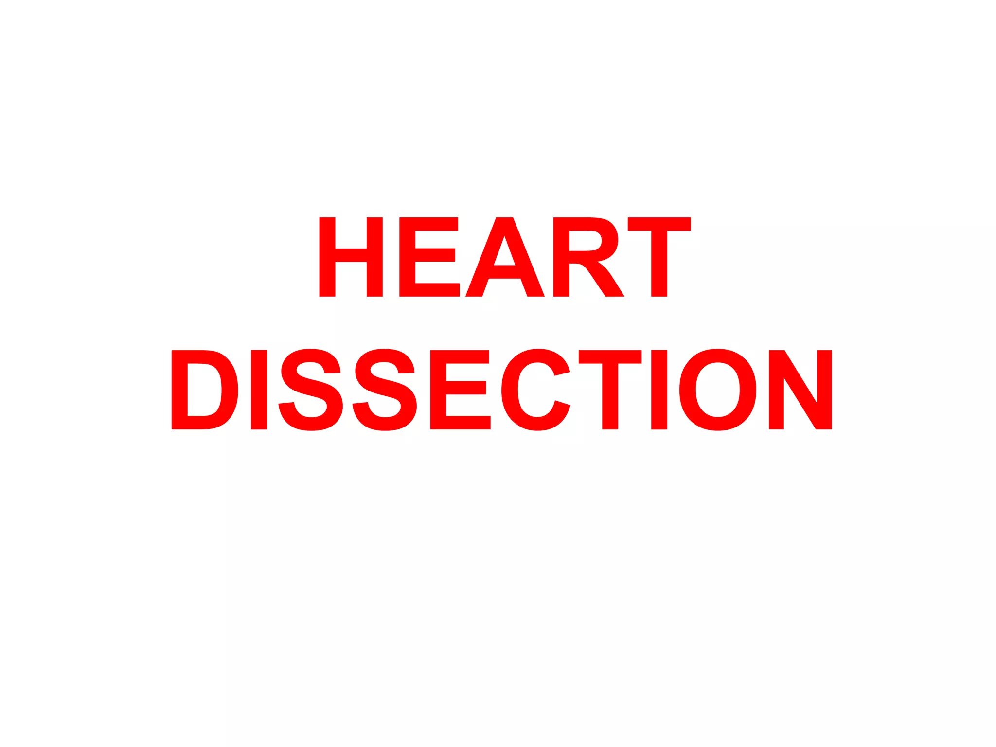 Heart dissection lab | PPT
