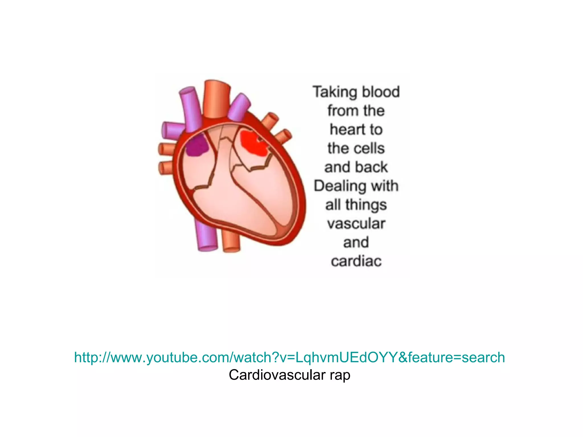 Heart dissection lab | PPT