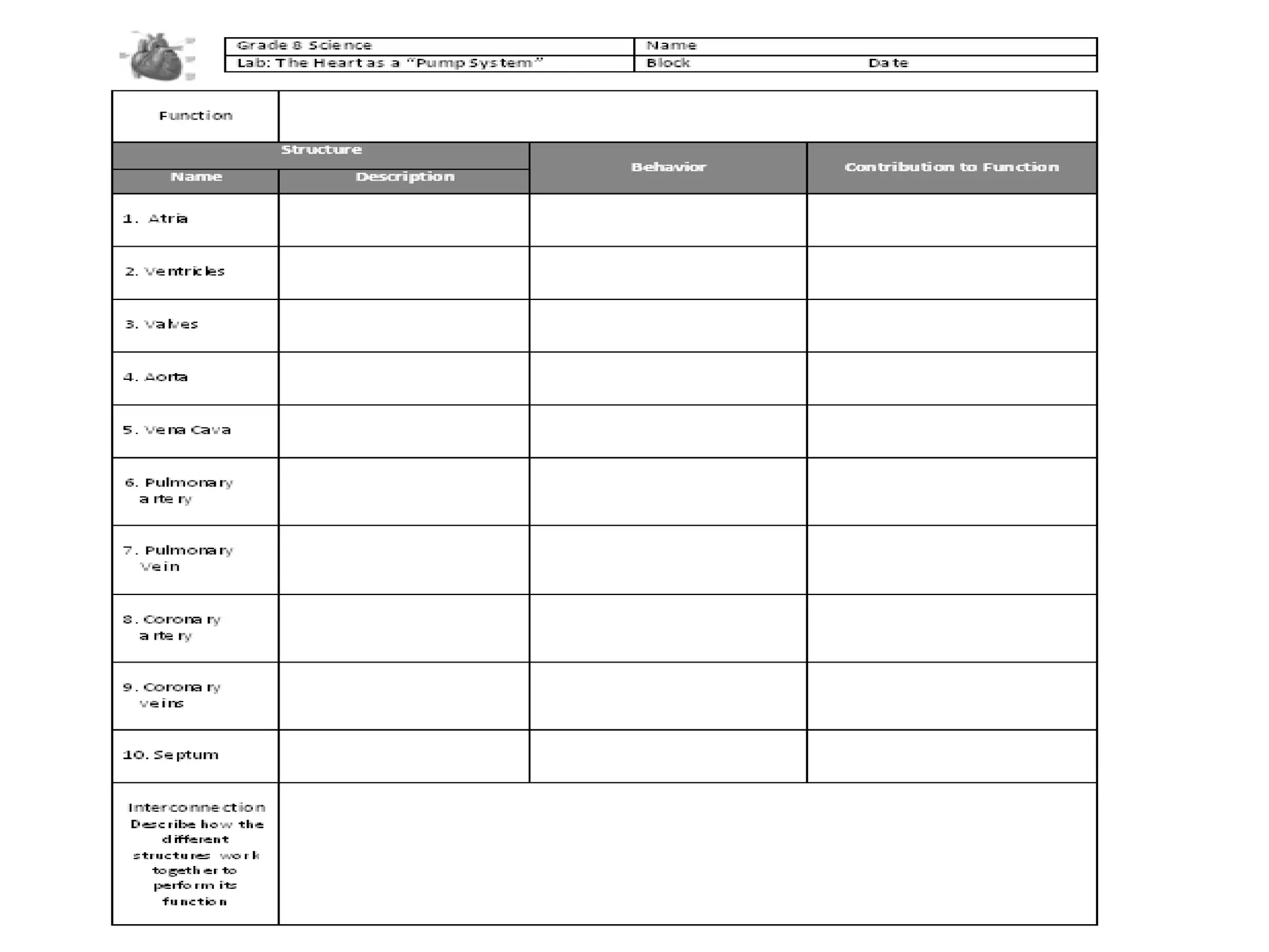 Heart dissection lab | PPT