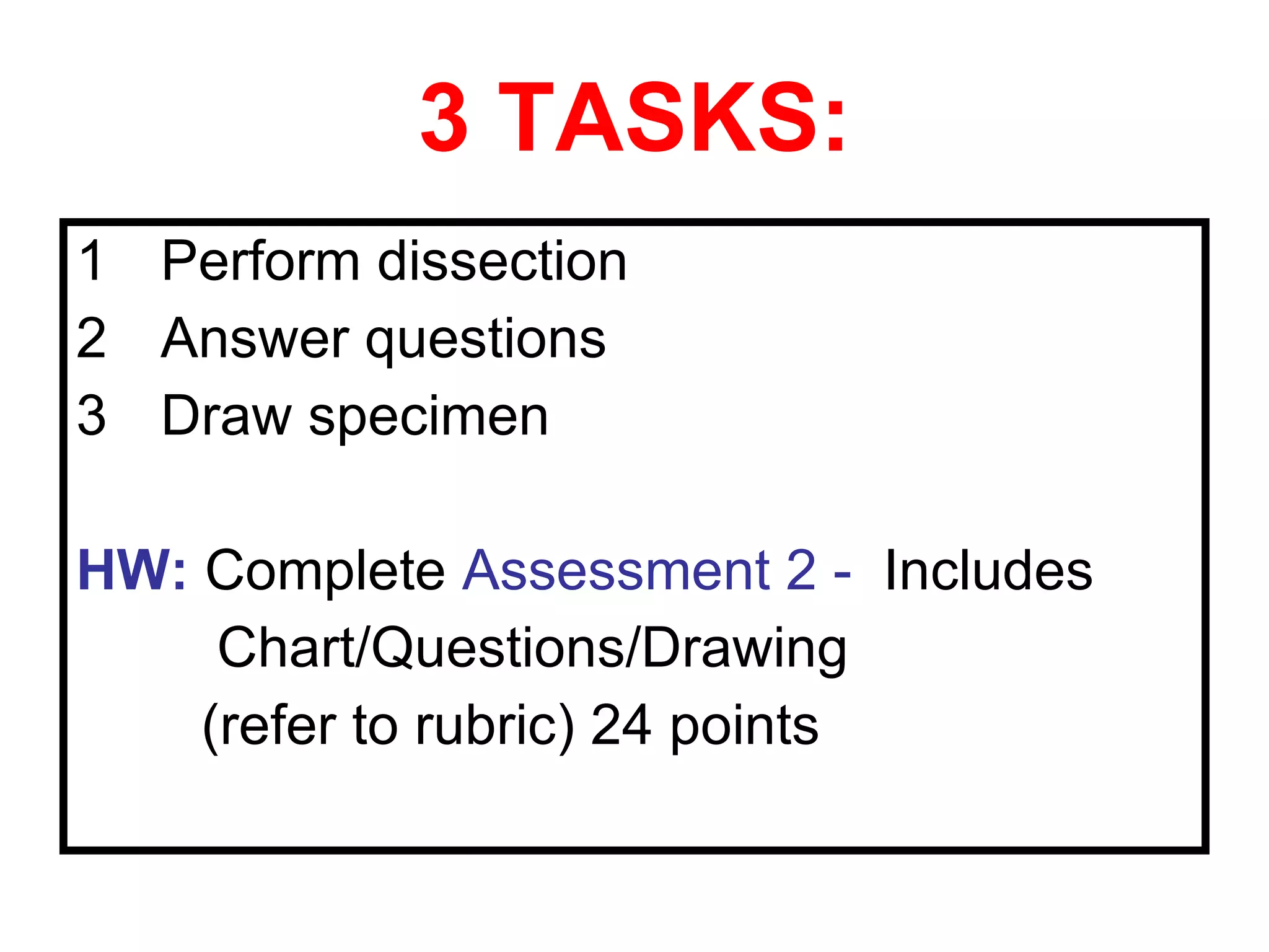 Heart dissection lab | PPT