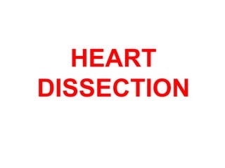 Heart dissection lab | PPT