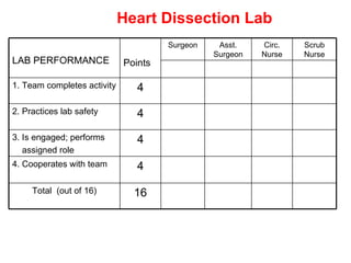 Heart dissection lab | PPT