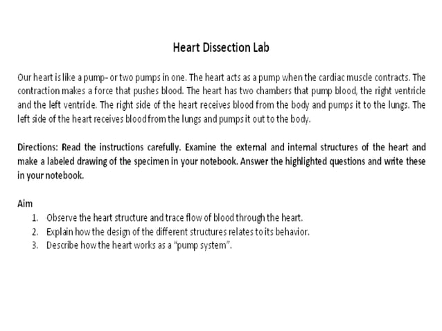 Heart dissection lab | PPT | Heart and Cardiovascular Diseases | Diseases and Conditions