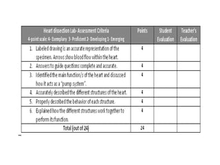Heart dissection lab | PPT