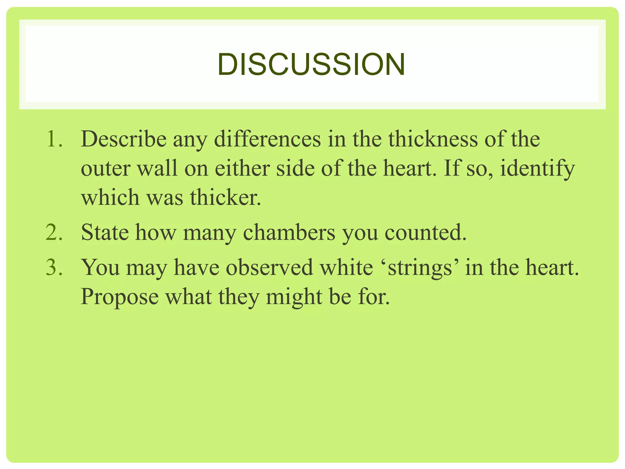 Heartdissectionprac | PPTX