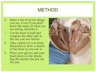Heartdissectionprac | PPTX