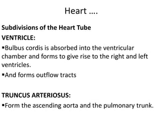 Heart embryology | PPTX