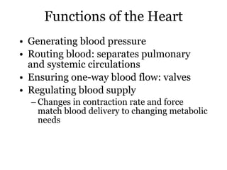 Heart excitation | PPT