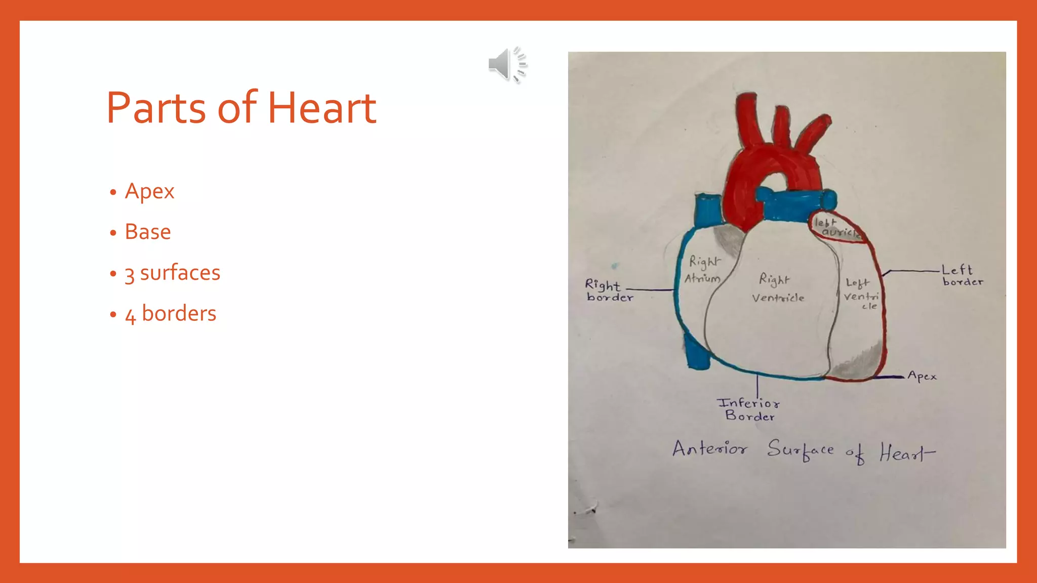 Heart external features | PPTX