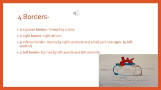 Heart external features | PPTX