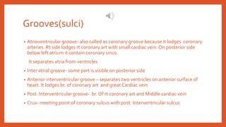 Heart external features | PPTX