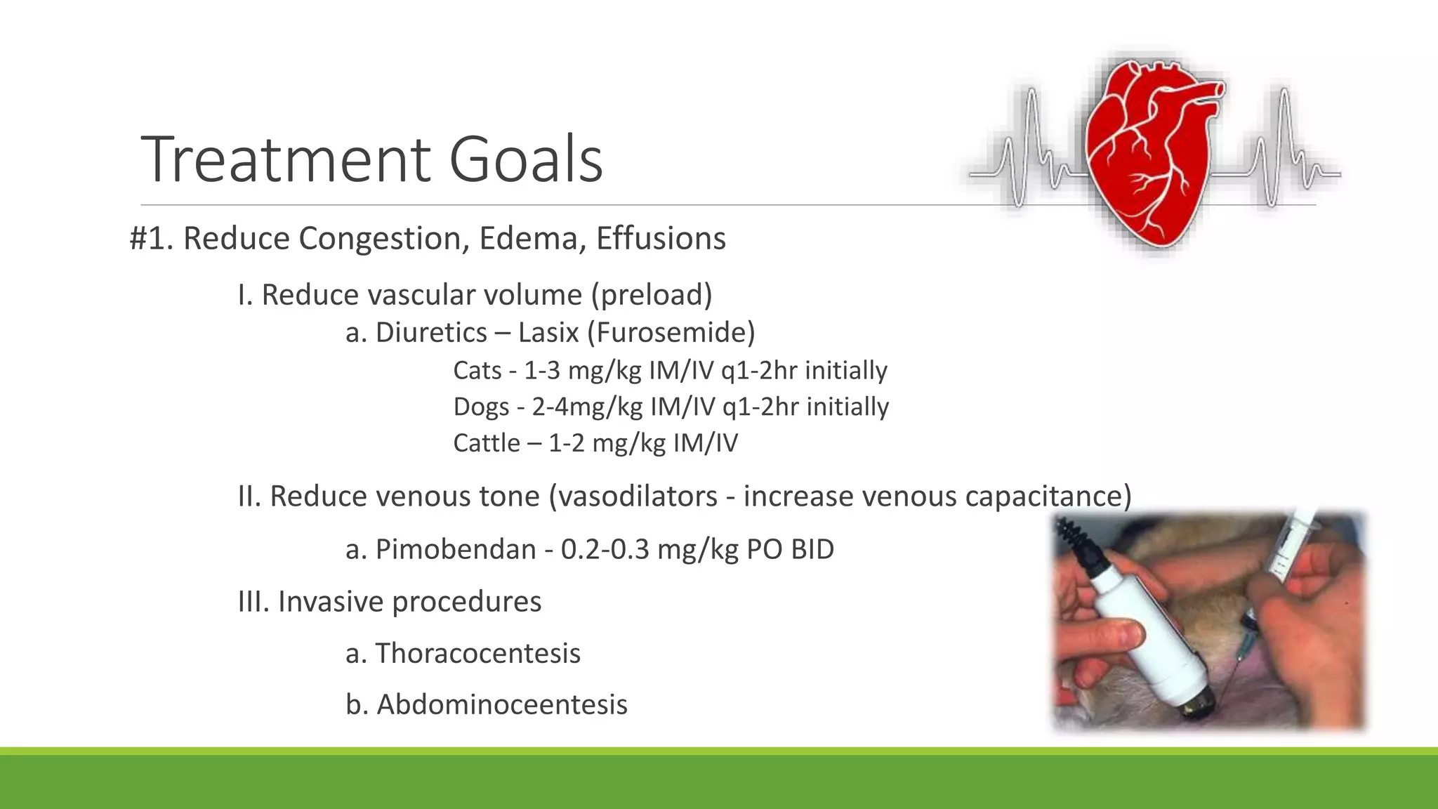 Heart Failure in Animals | PPTX