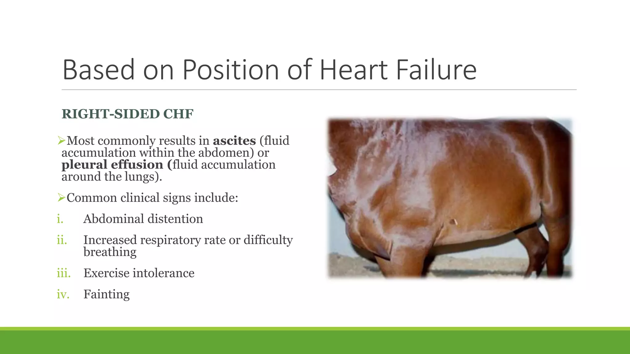 Heart Failure in Animals | PPTX