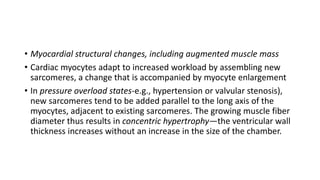 heartfailure-190730143120.pdf
