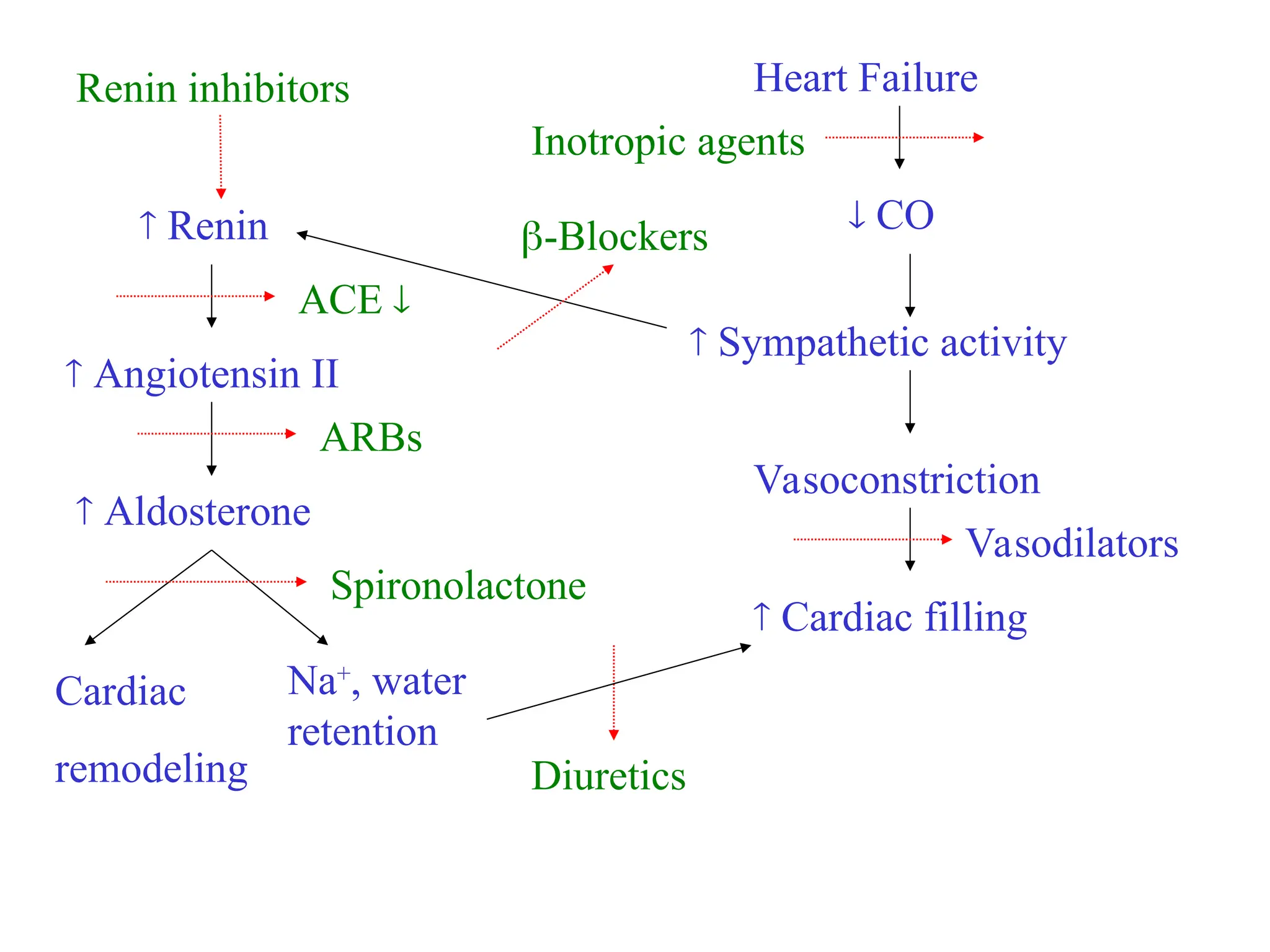 pharmacotherapy ppts on Heart Failure.ppt