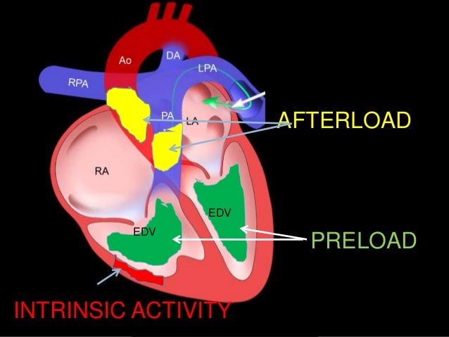 Heart failure - pathogenesis and current management