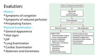 Heart Failure etiology investigations and | PPTX