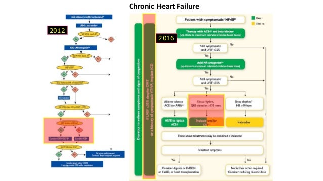 Guideline directed medical therapy for “Chronic Heart Failure“