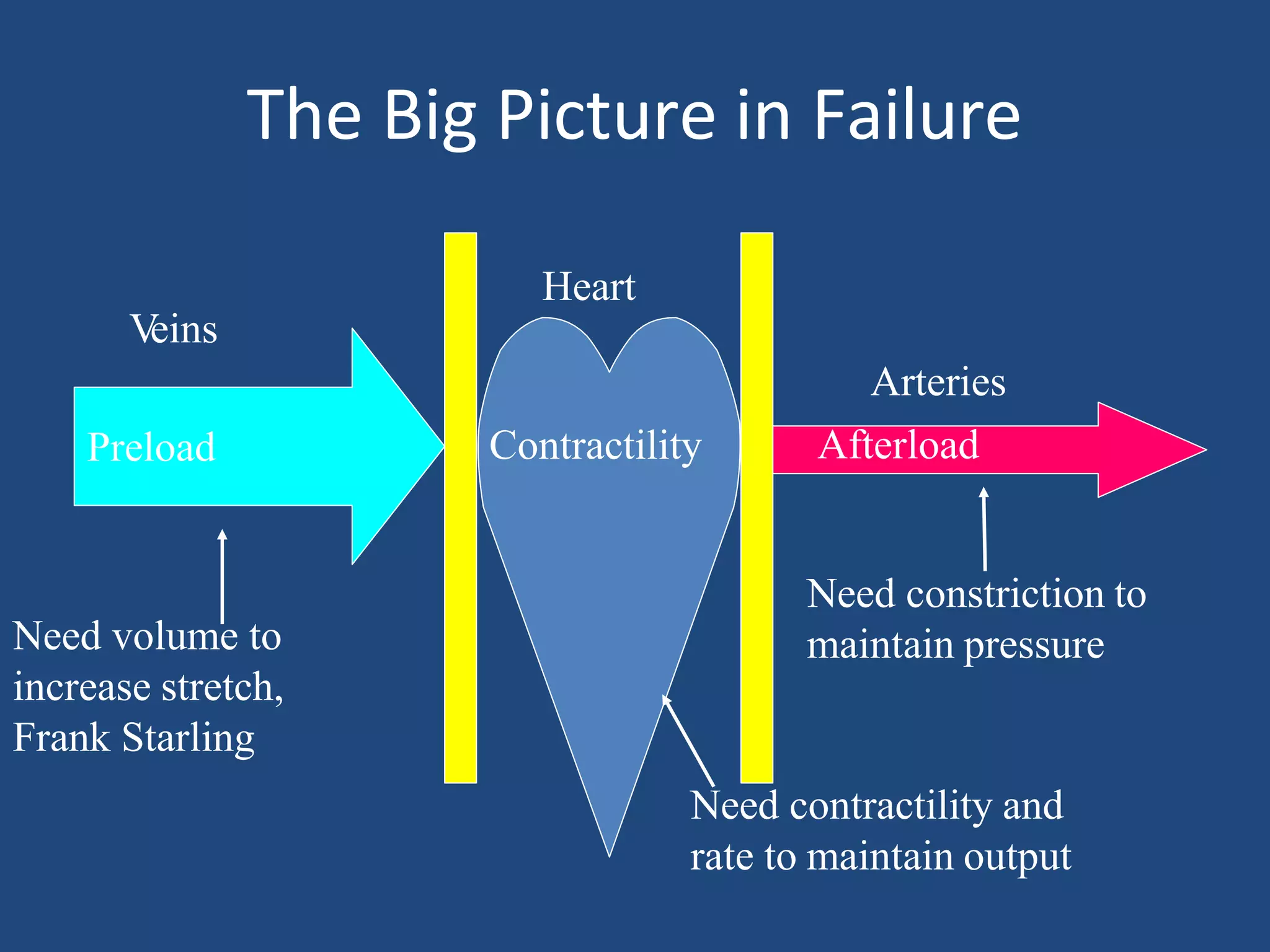 heart failure achmad 1.pptx