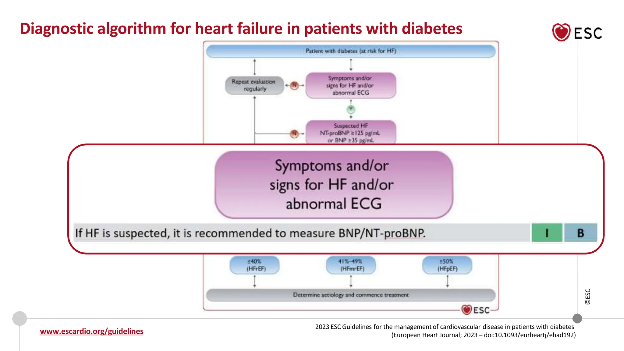 esc 2023 Heart failure and diabetes(1).pptx