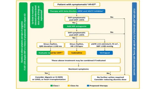 Heart Failure Management -in light of Evidence Based Medicine and ...